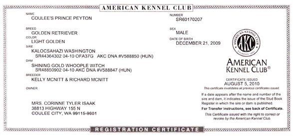 Coulee Country Kennel - AKC & OFA Papers
